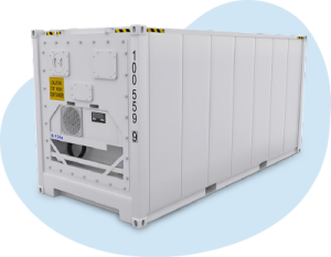 Salty Seafood – Your seafood specialist in the Caribbean