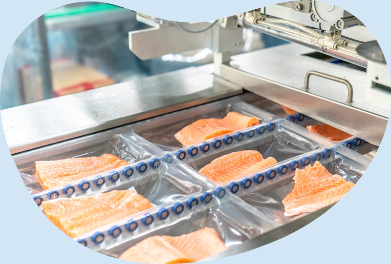 Salty Seafood – Your seafood specialist in the Caribbean