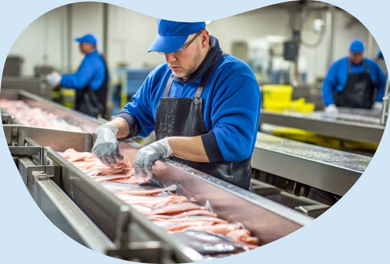 Salty Seafood – Your seafood specialist in the Caribbean