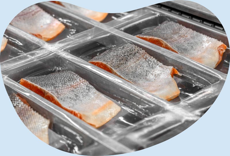 Salty Seafood – Your seafood specialist in the Caribbean